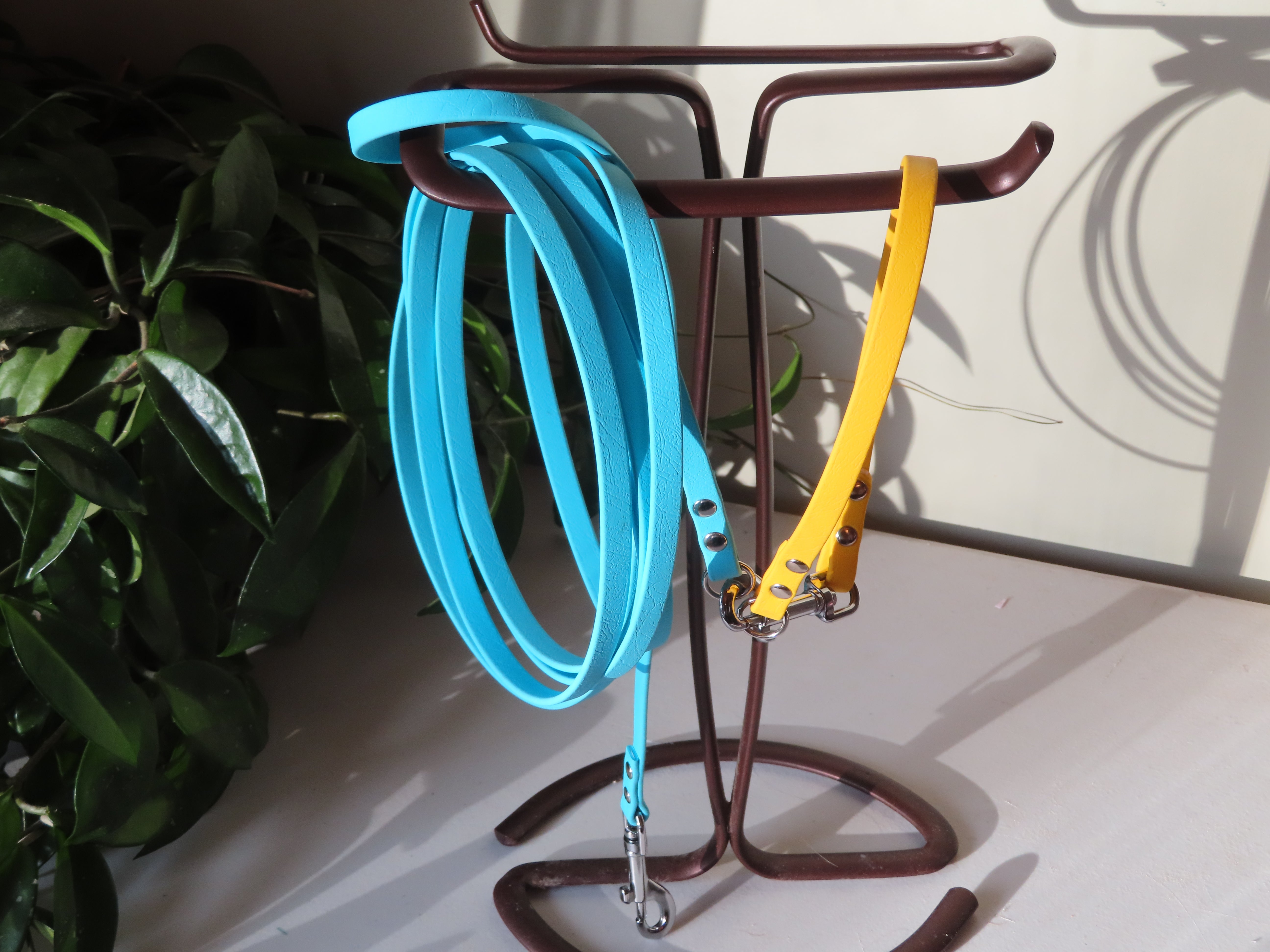 Biothane Leash – FNA Dog Co